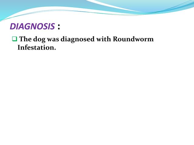 Round Worm infestation of Dog | PPT