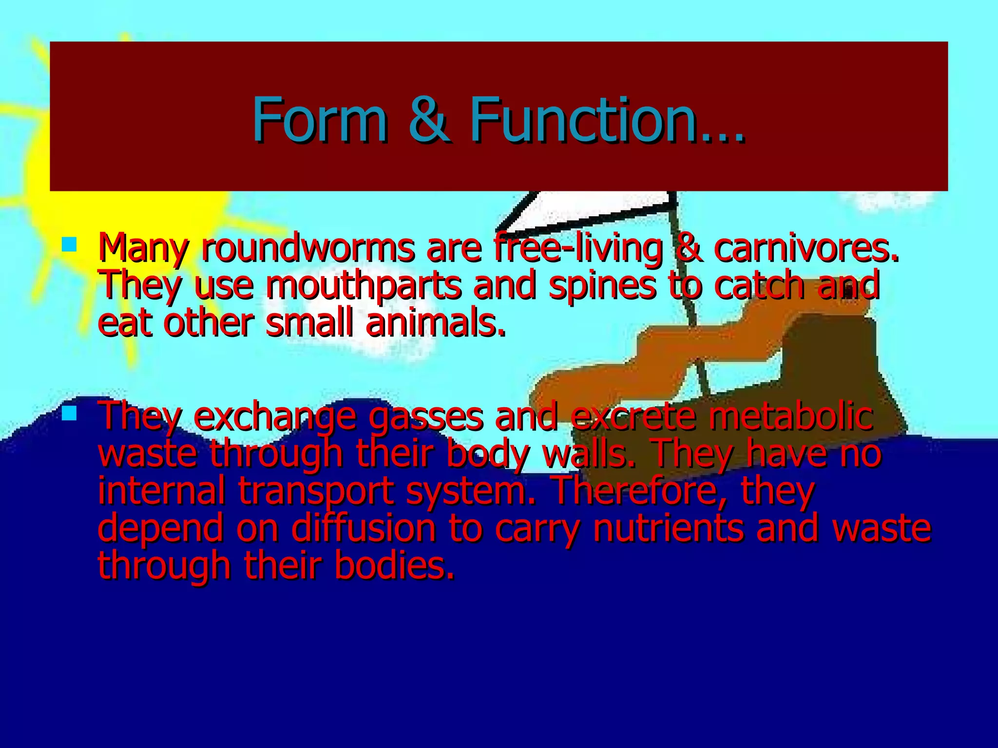 Roundworms | PPT