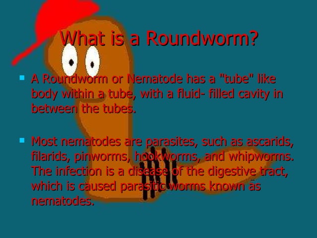 Roundworms | PPT | Biological Sciences | Science