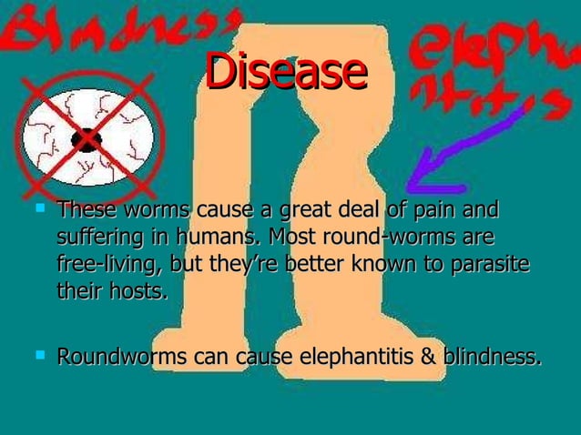Roundworms | PPT | Biological Sciences | Science