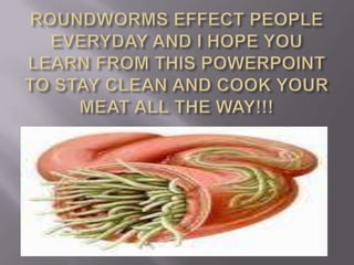 Roundworms (ascaris) | PPTX
