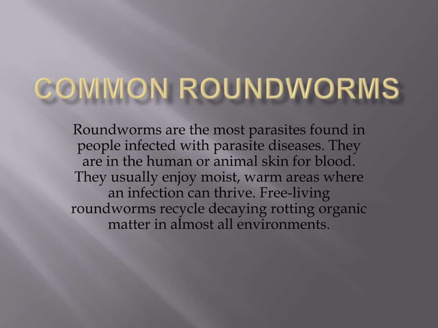 Roundworms (ascaris) | PPTX | Veterinary Medicine | Pets