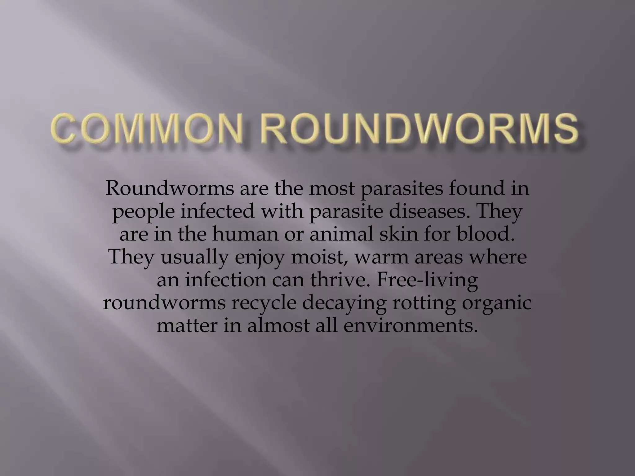 Roundworms (ascaris) | PPTX