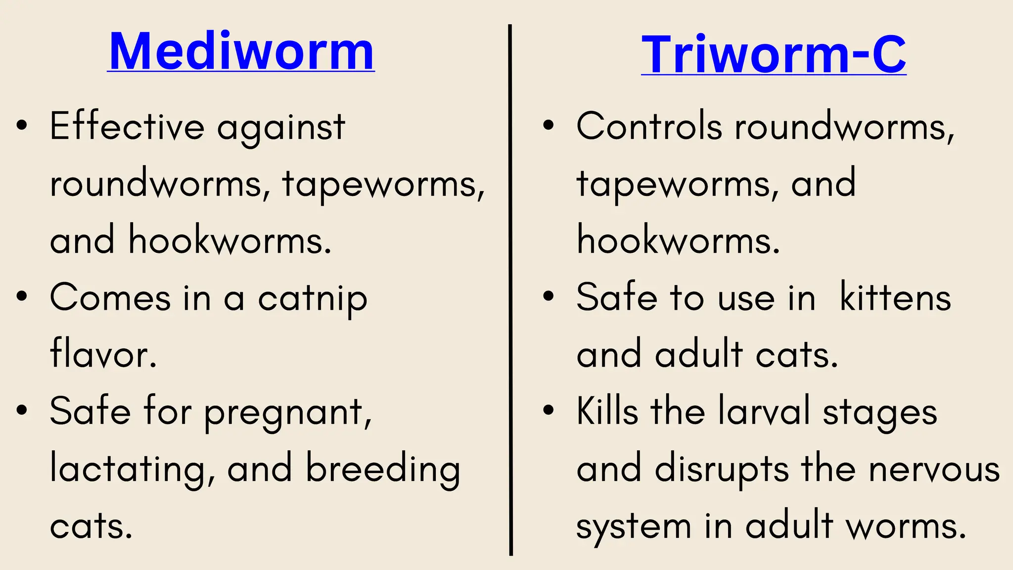 Roundworms in Cats How to Keep Your Feline Friend Safe and Healthy | PPTX