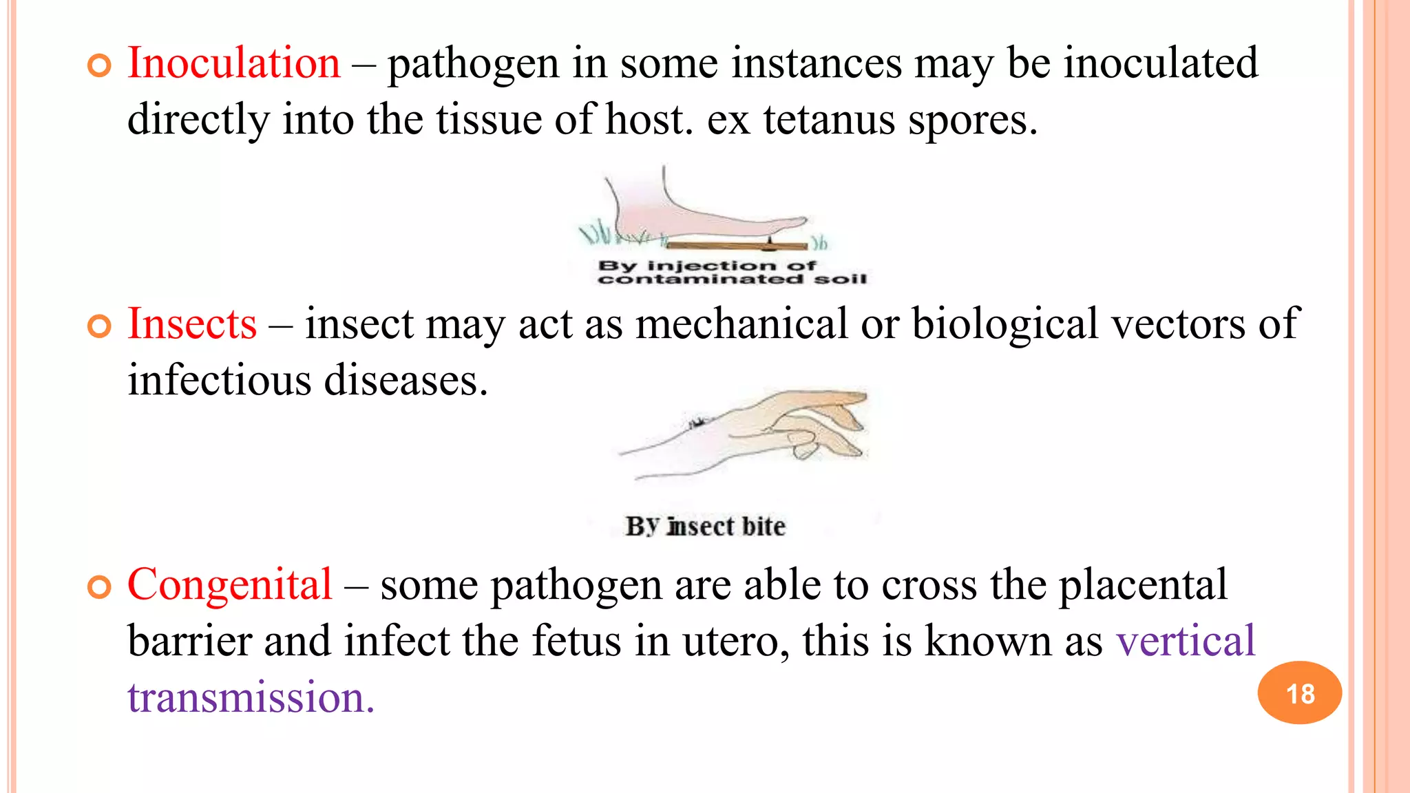Route and source of infection | PPTX