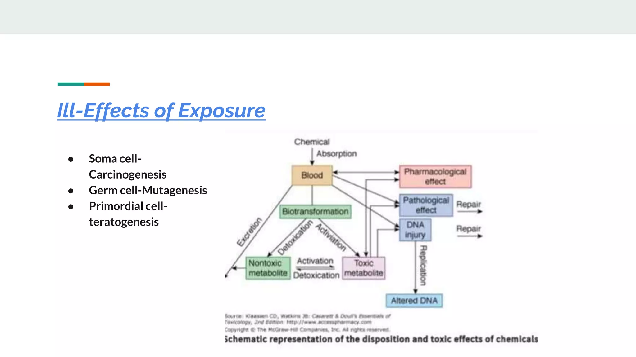 Various routes of exposure of toxicant | PPTX