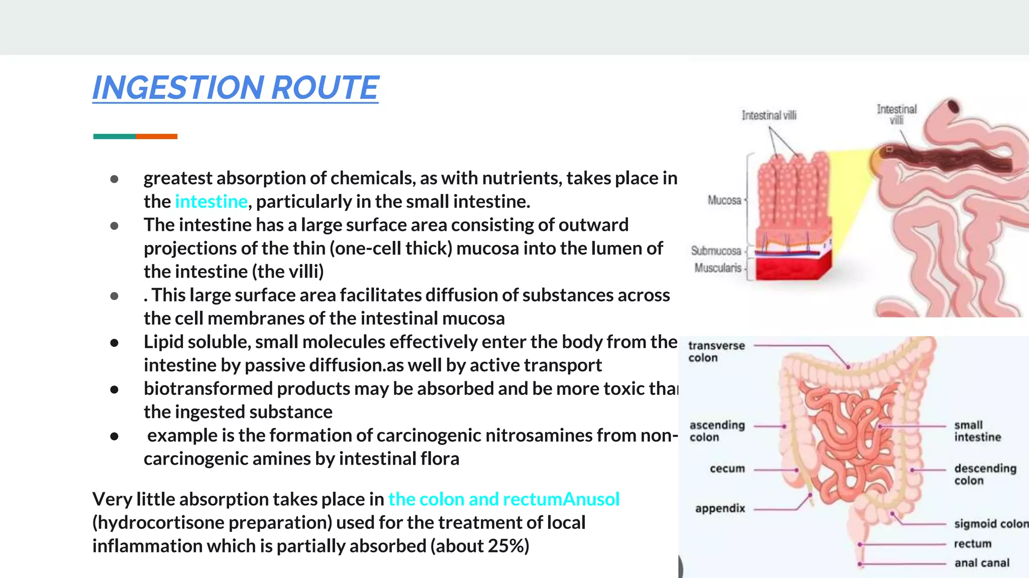 Various routes of exposure of toxicant | PPTX