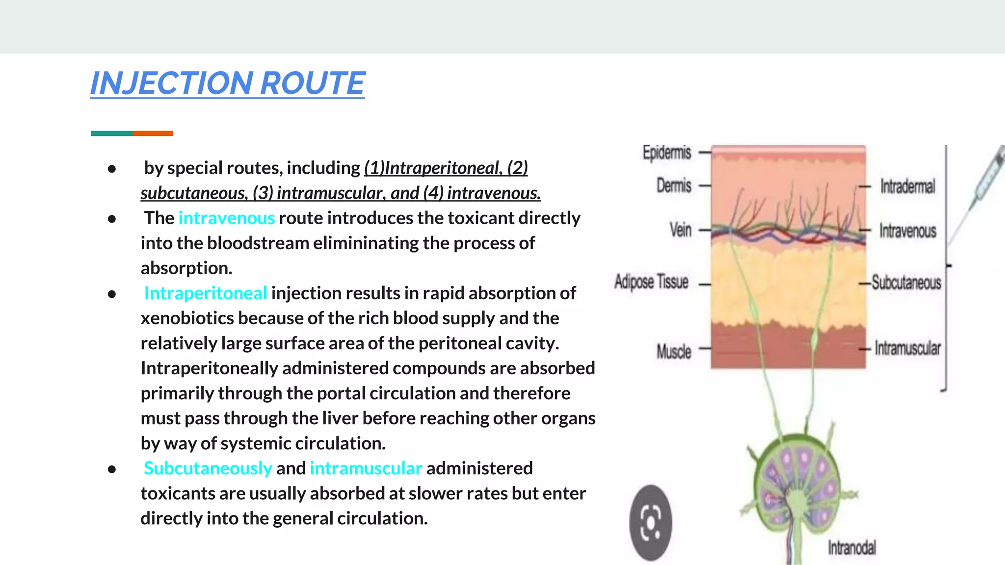 Various routes of exposure of toxicant | PPTX
