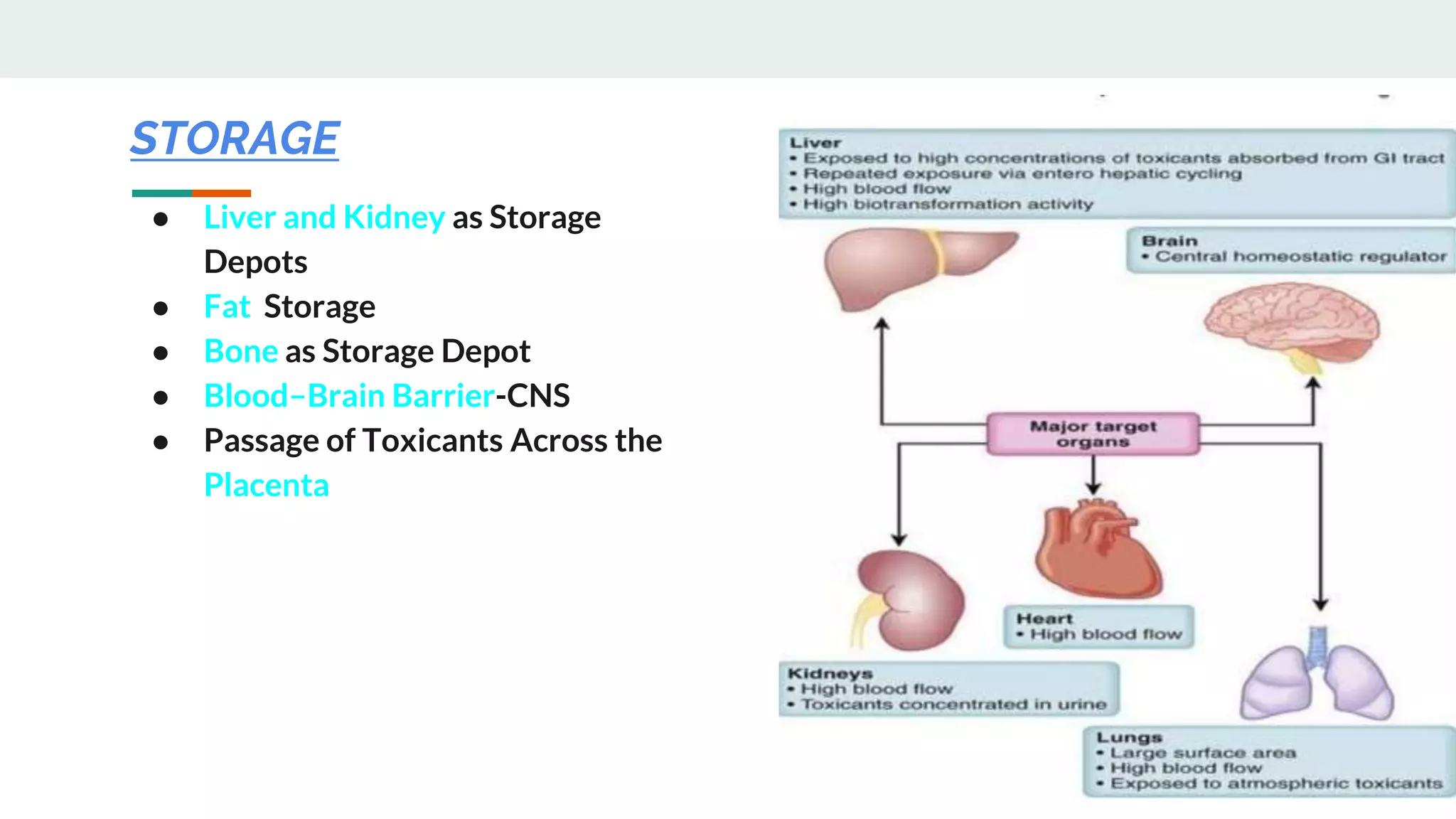 Various routes of exposure of toxicant | PPTX