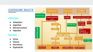 Various routes of exposure of toxicant | PPTX