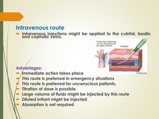 Route of administration of drugs | PPT