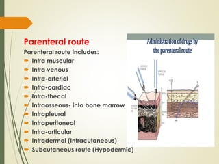 Route of administration of drugs | PPT