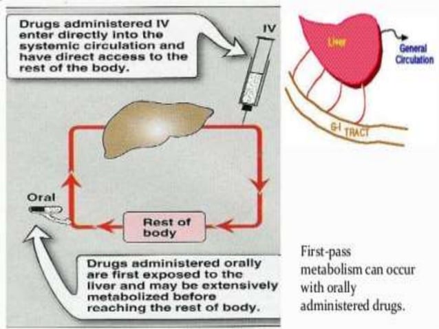 Route of drug administration (2) | PPT