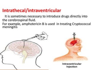 routeofdrugadmpptkalpanatiwarimscmedpharma class.pptx
