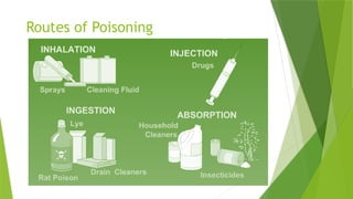ROUTES, ACTION, ELIMINATION OF POISON By Dr. Sadia.pptx