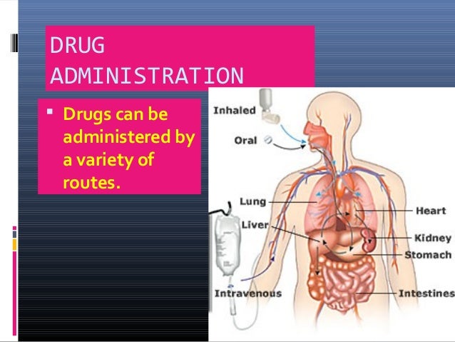 Routes mbbs satya xp ppt