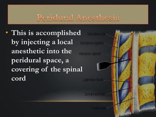 Routes of drug administrations : Dr Rahul Kunkulol's Power point ...