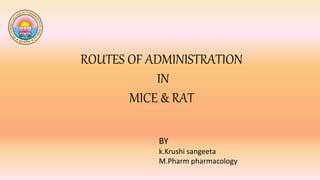 routes of administration in laboratory rat & mice | PPTX