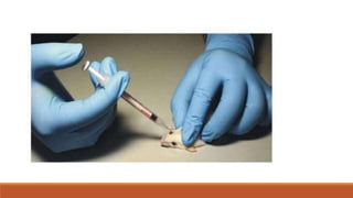 routes of administration in laboratory rat & mice | PPTX