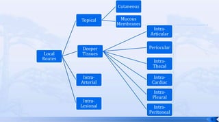 Routes of drug administra | PPT