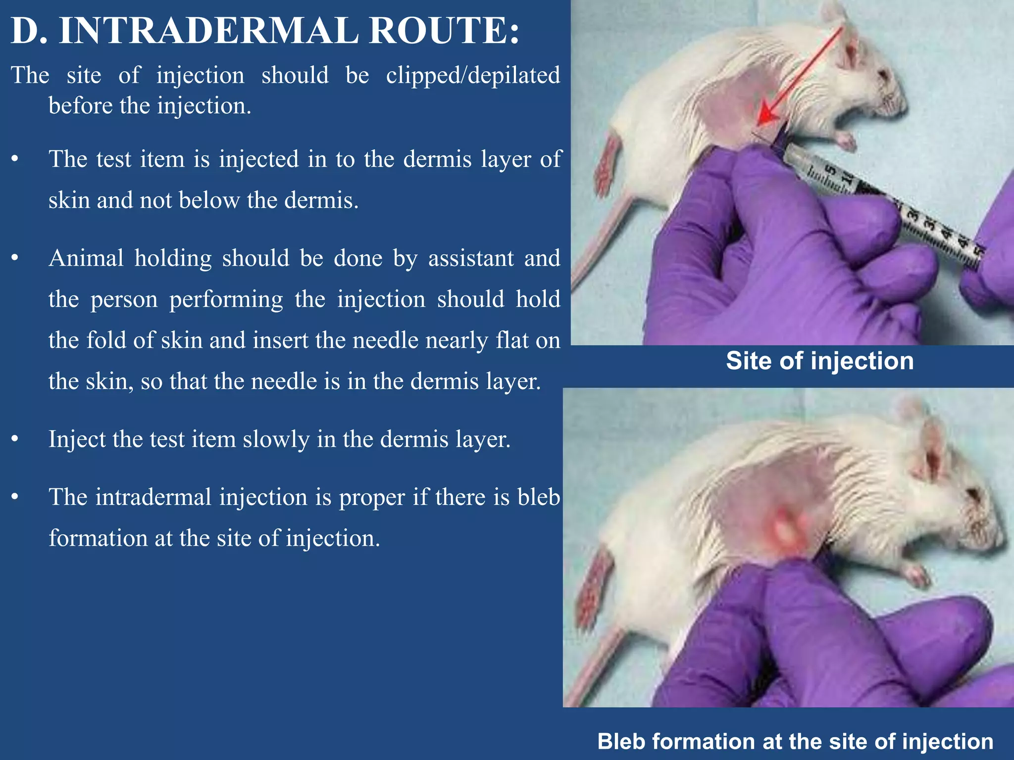 Routes of drug administration | PPTX