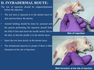 Routes of drug administration | PPTX