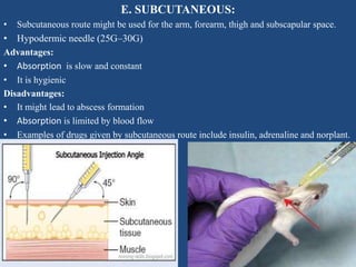 Routes of drug administration | PPTX