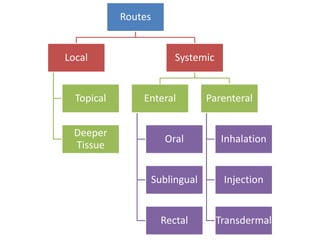 Routes of drug administration | PPT