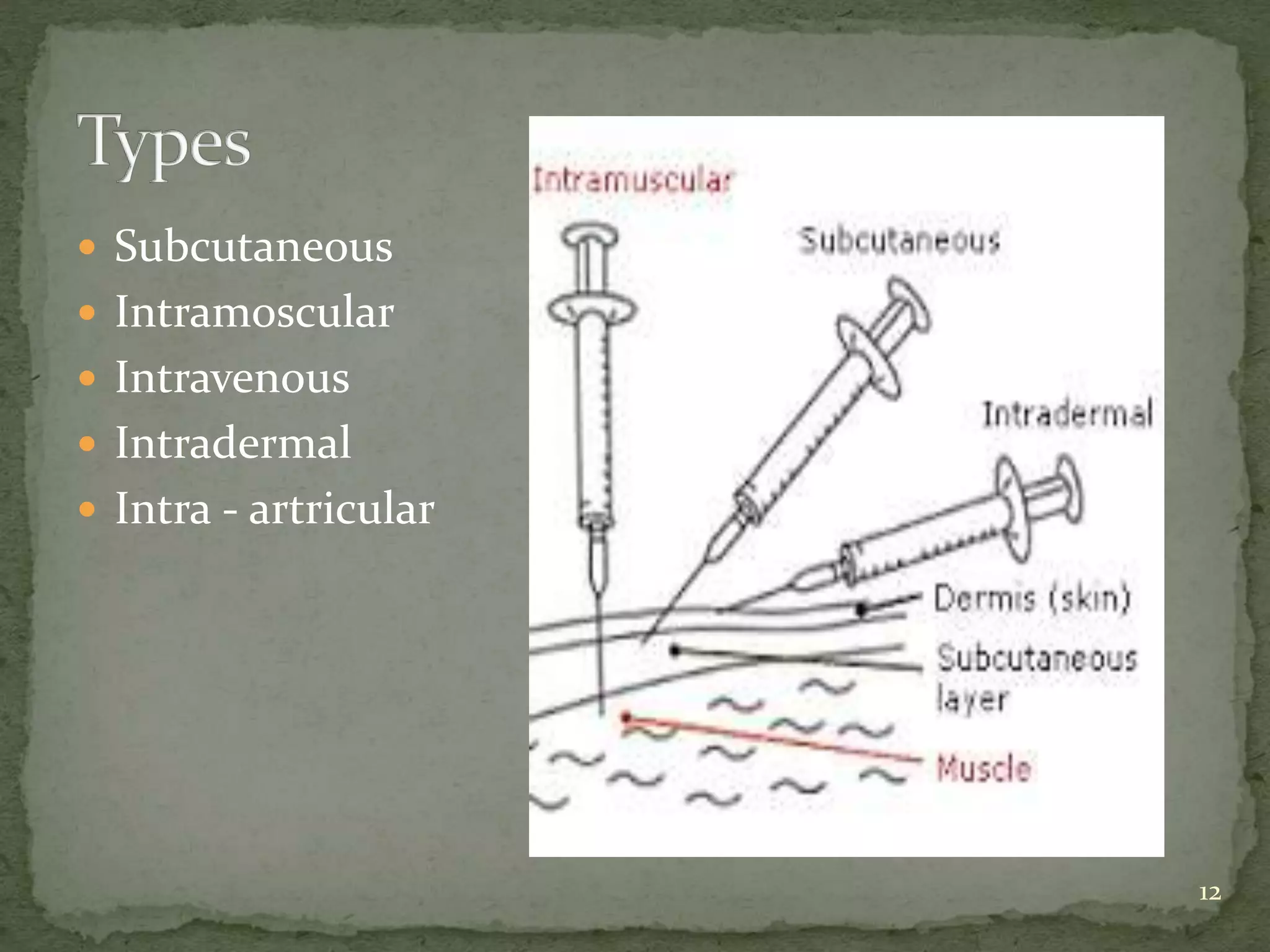 Routes of Drug Administration | PPTX | Skin and Dermatology | Diseases ...