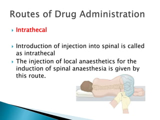 Routes of drug administration | PPTX