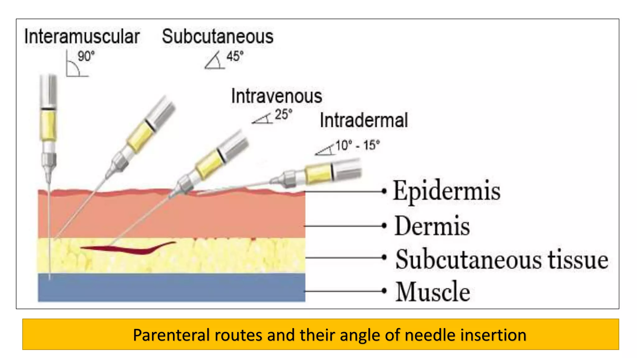 Routes of Drug administration | PPTX
