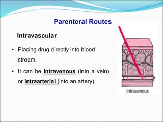 Routes Of Drug Administration.ppt