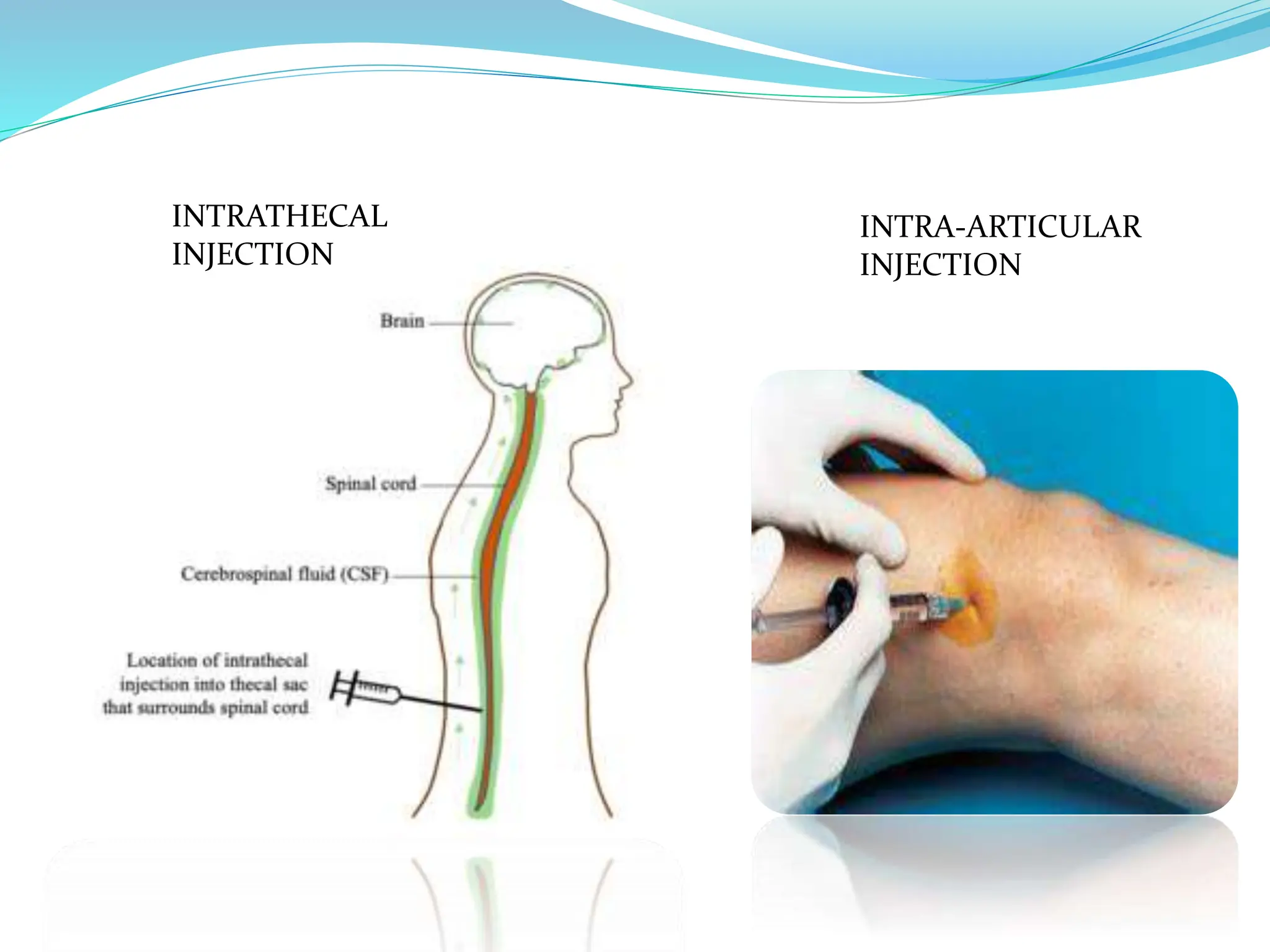 Routes Of Drug Administration by Anushri Srivastava .pptx