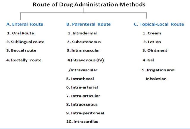Routes of Drug Administration.ppt | Lung and Respiratory Health ...