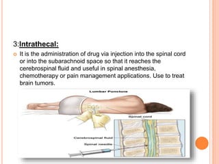 Routes of drug administration | PPTX