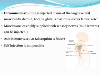Routes of drug adminstration | PPTX