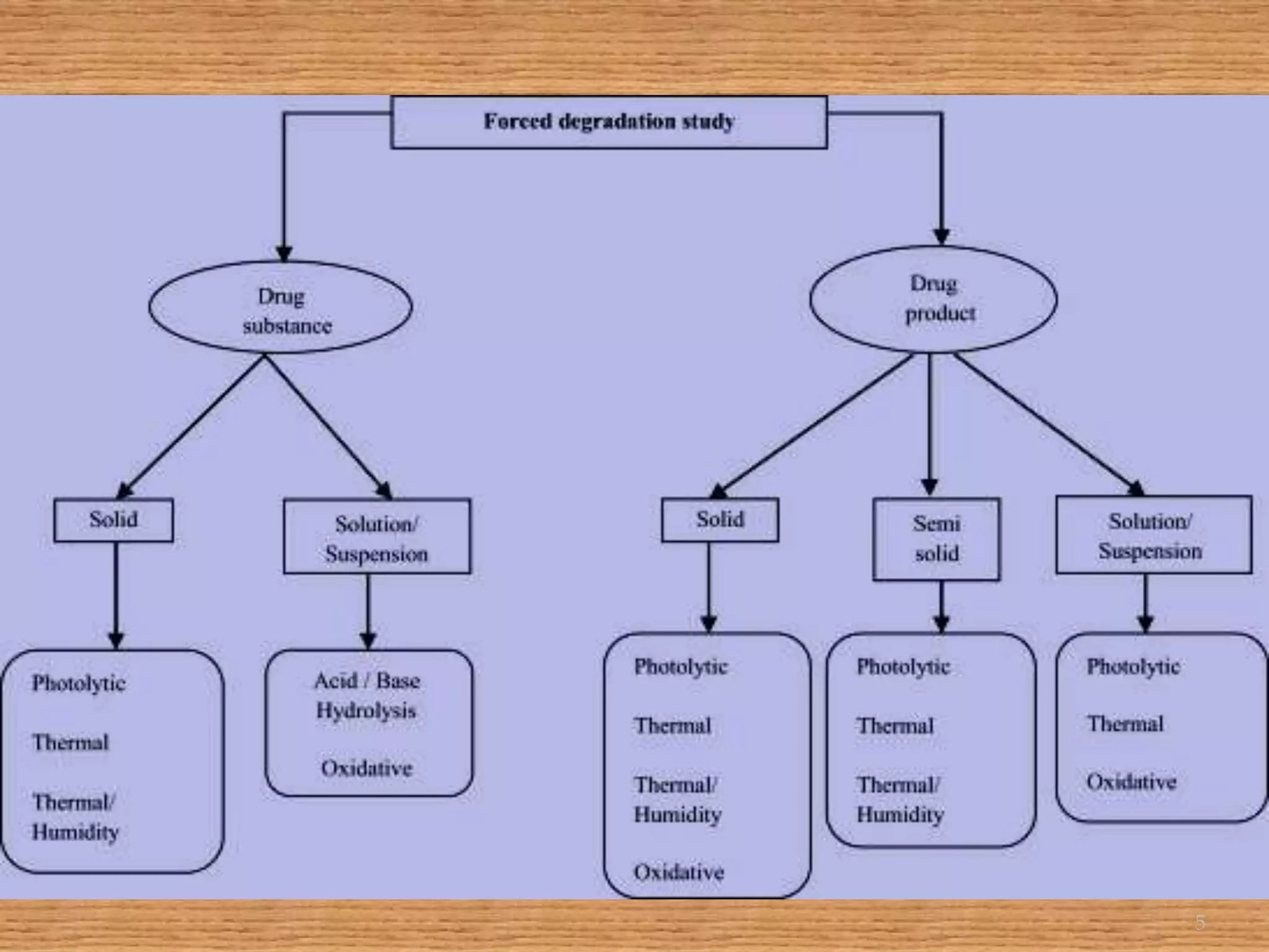 Routes of drug degradation | PPTX