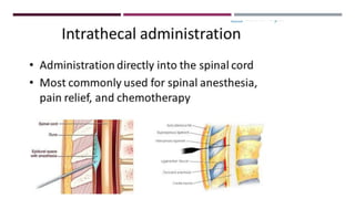 Routes of medication administration advanced techniques | PPTX