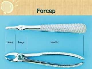 Routine extraction | PPT