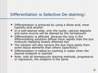 Routine H & E | PPT