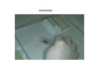 ROUTINE HISTOLOGICAL TECHNIQUES (2).pptx