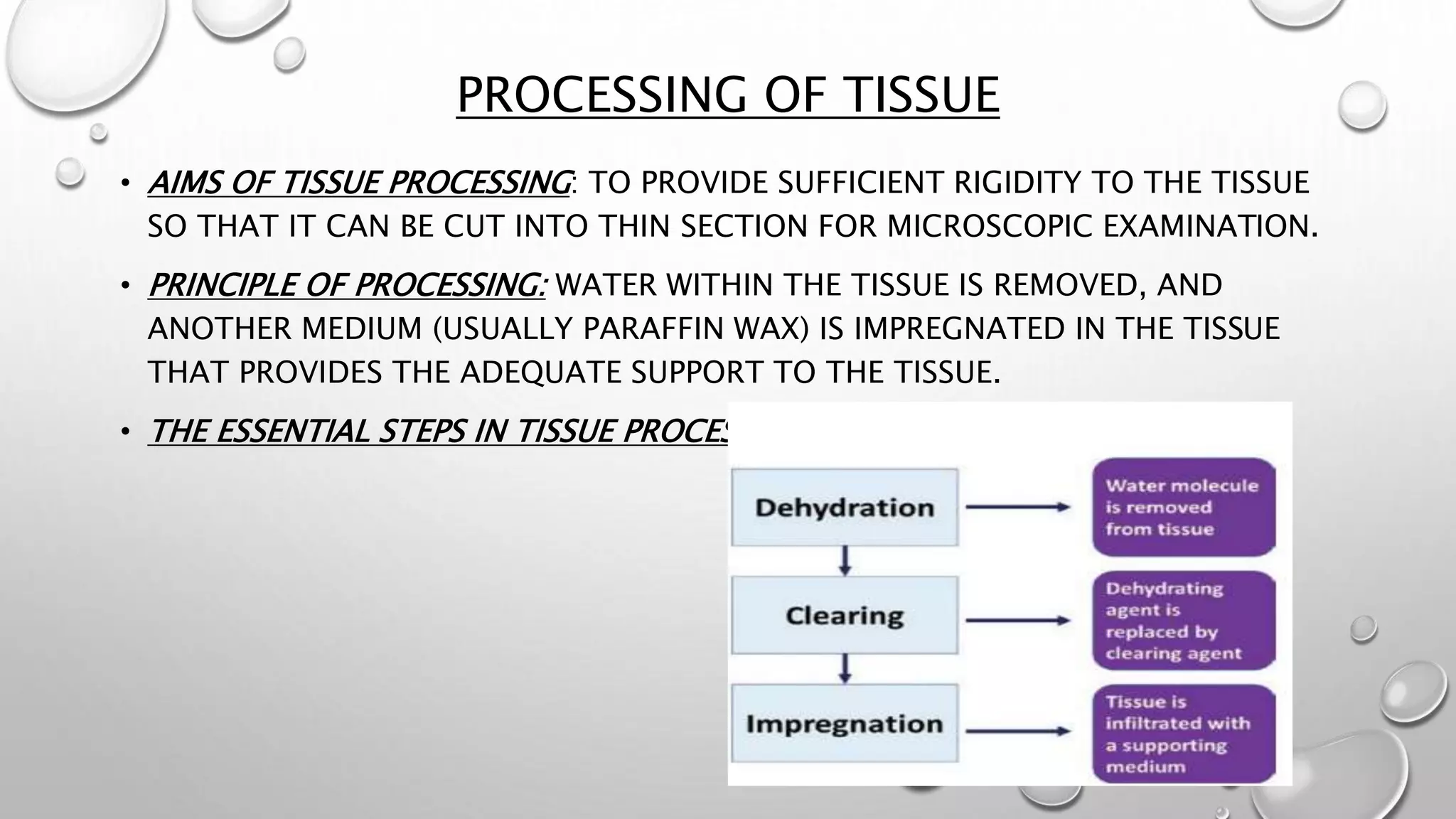 Routine histopathology techniques and staining.pptx