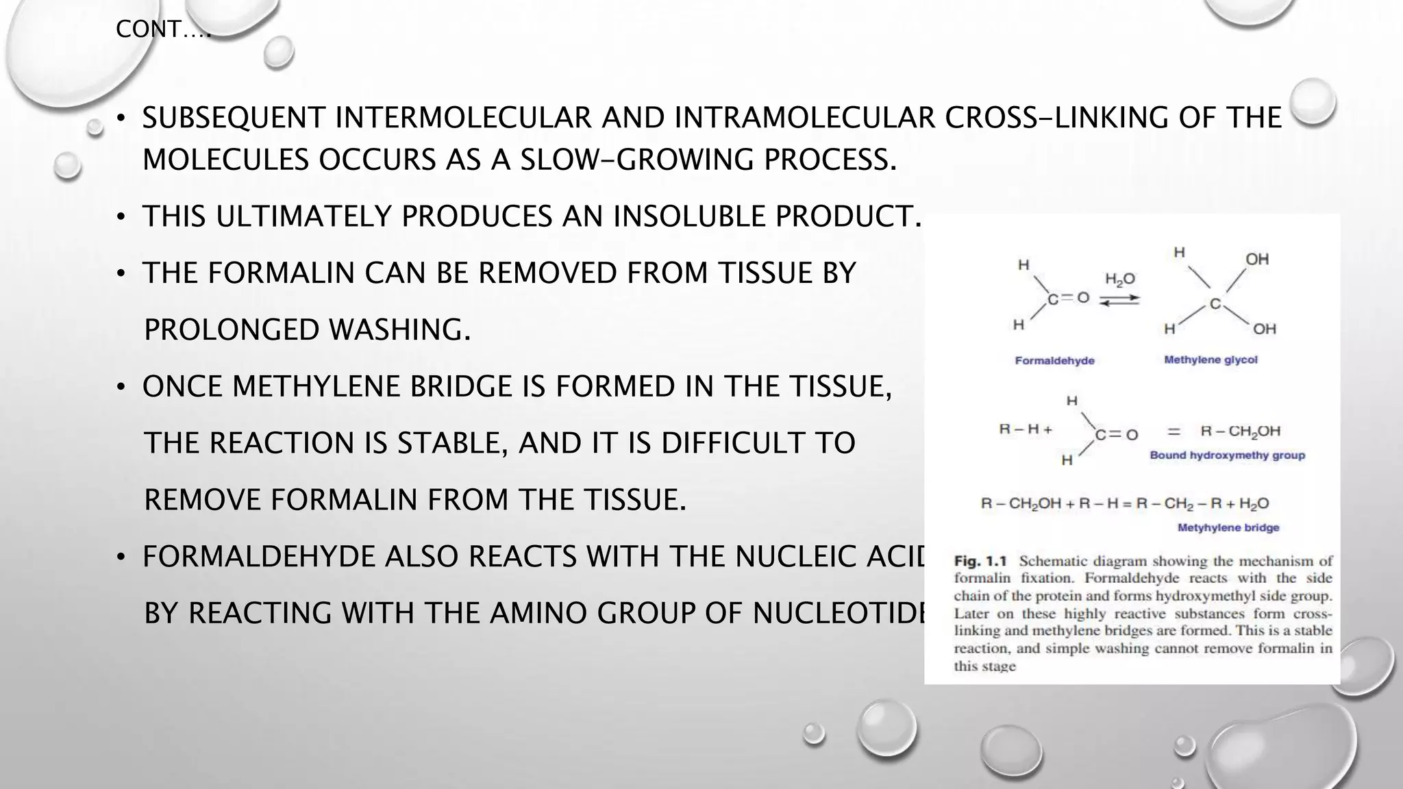 Routine histopathology techniques and staining.pptx