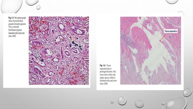 Routine histopathology techniques and staining [Autosaved].pptx ...