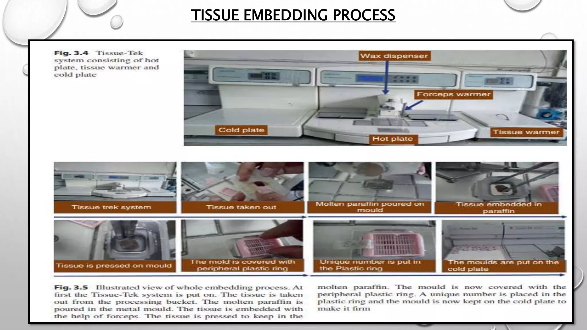 Routine histopathology techniques and staining [Autosaved].pptx