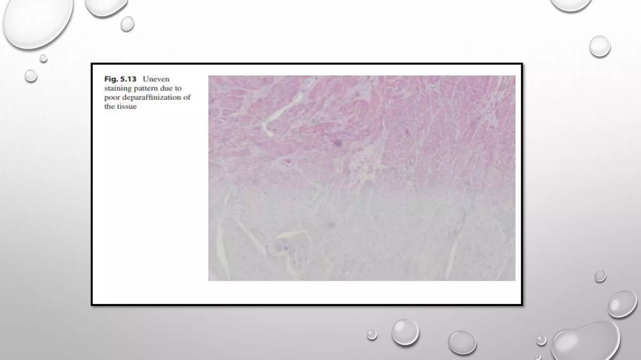 Routine histopathology techniques and staining [Autosaved].pptx