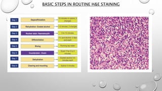 Routine histopathology techniques and staining [Autosaved].pptx