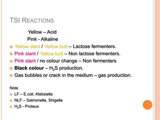 Routinely used culture media in microbiology lab | PPTX