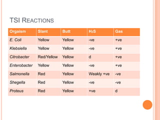 Routinely used culture media in microbiology lab | PPTX