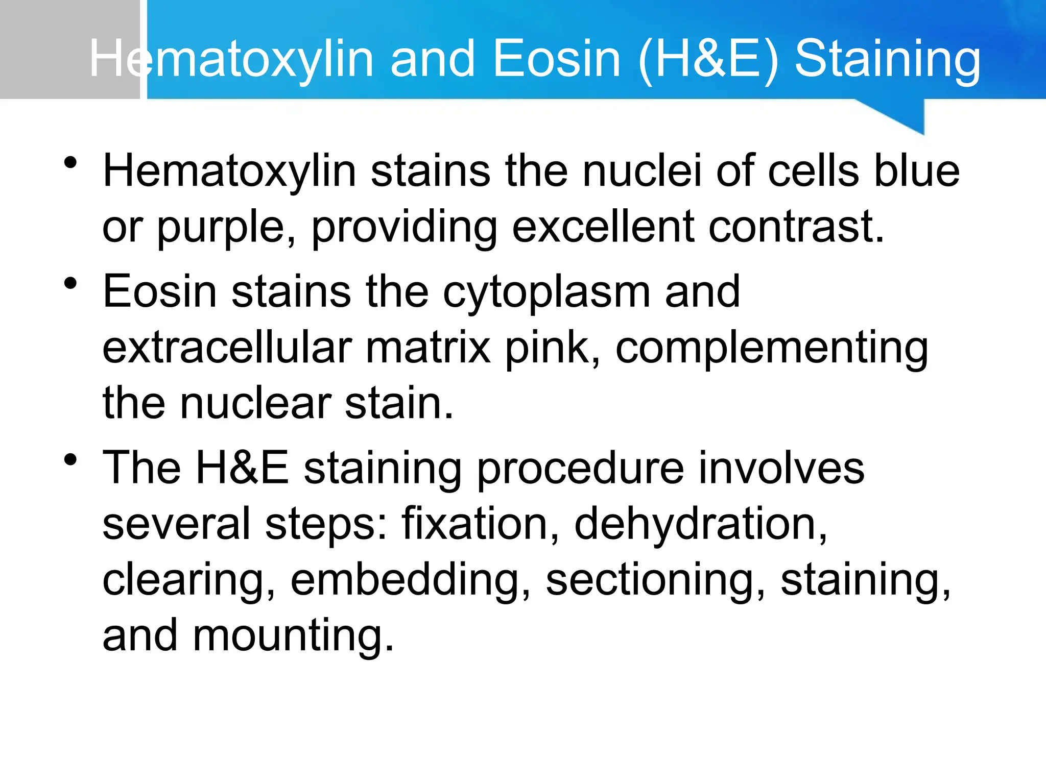 Routine_Staining_Procedures_H&E_and_PTAH_v2.pptx